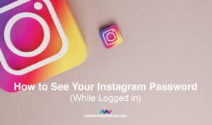 How to See Your Instagram Password (While Logged in) - Make A Website Hub
