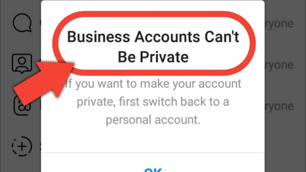 How to Fix “Business accounts can’t be private” on Instagram - Make A ...